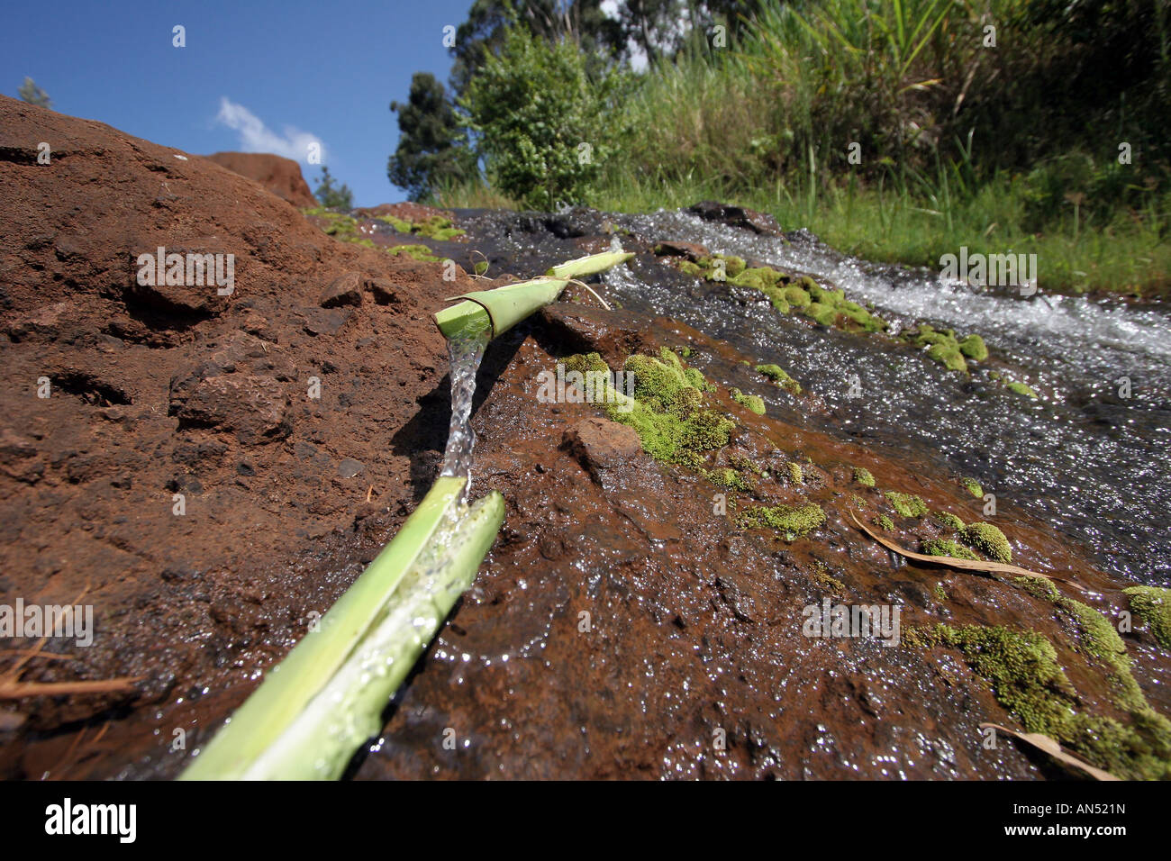miniature irrigation system Stock Photo - Alamy