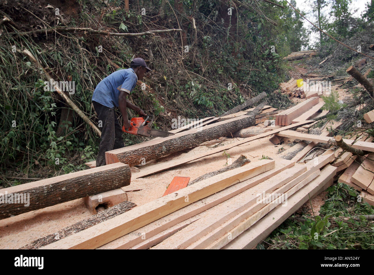 Africa timber saw hi-res stock photography and images - Alamy