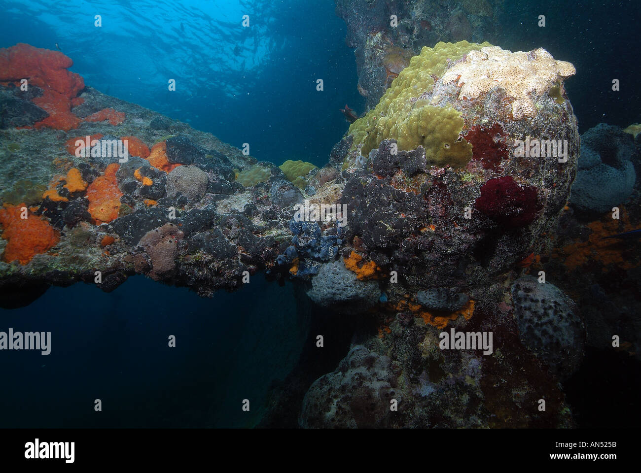 Propeller of the sapona wreck hi-res stock photography and images - Alamy