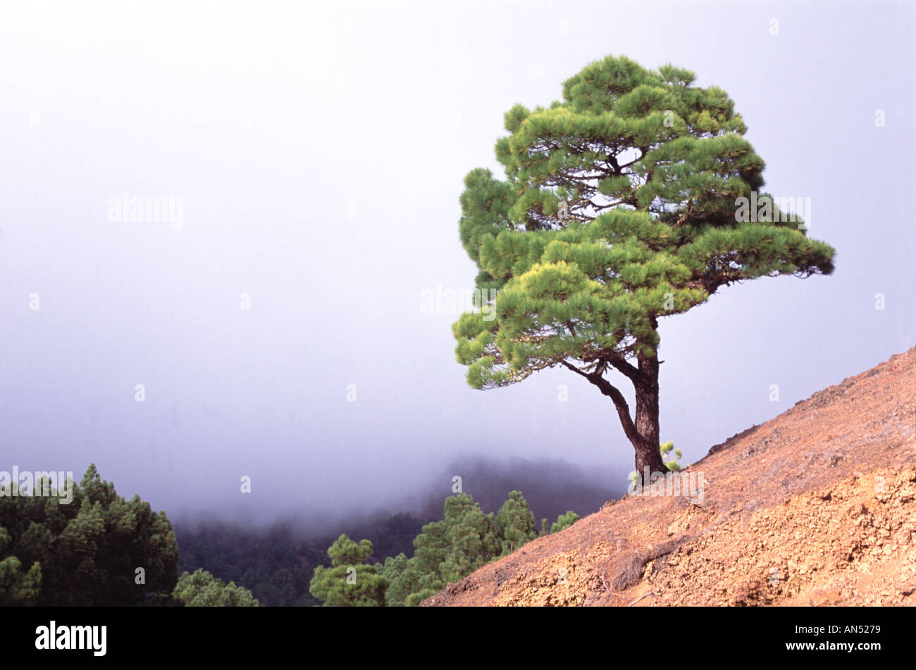 Frontera rural park hi-res stock photography and images - Alamy