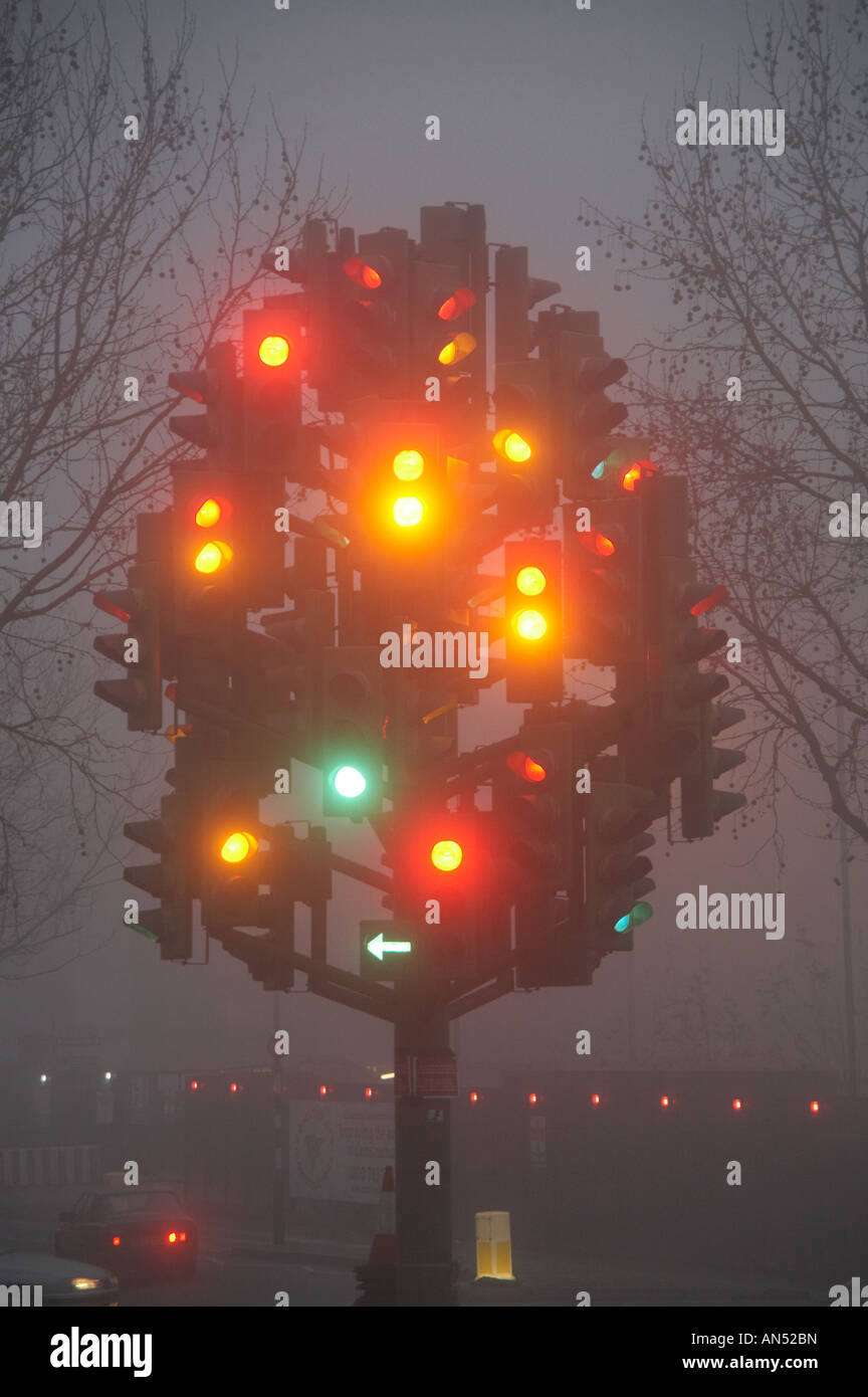 traffic light tree Stock Photo - Alamy