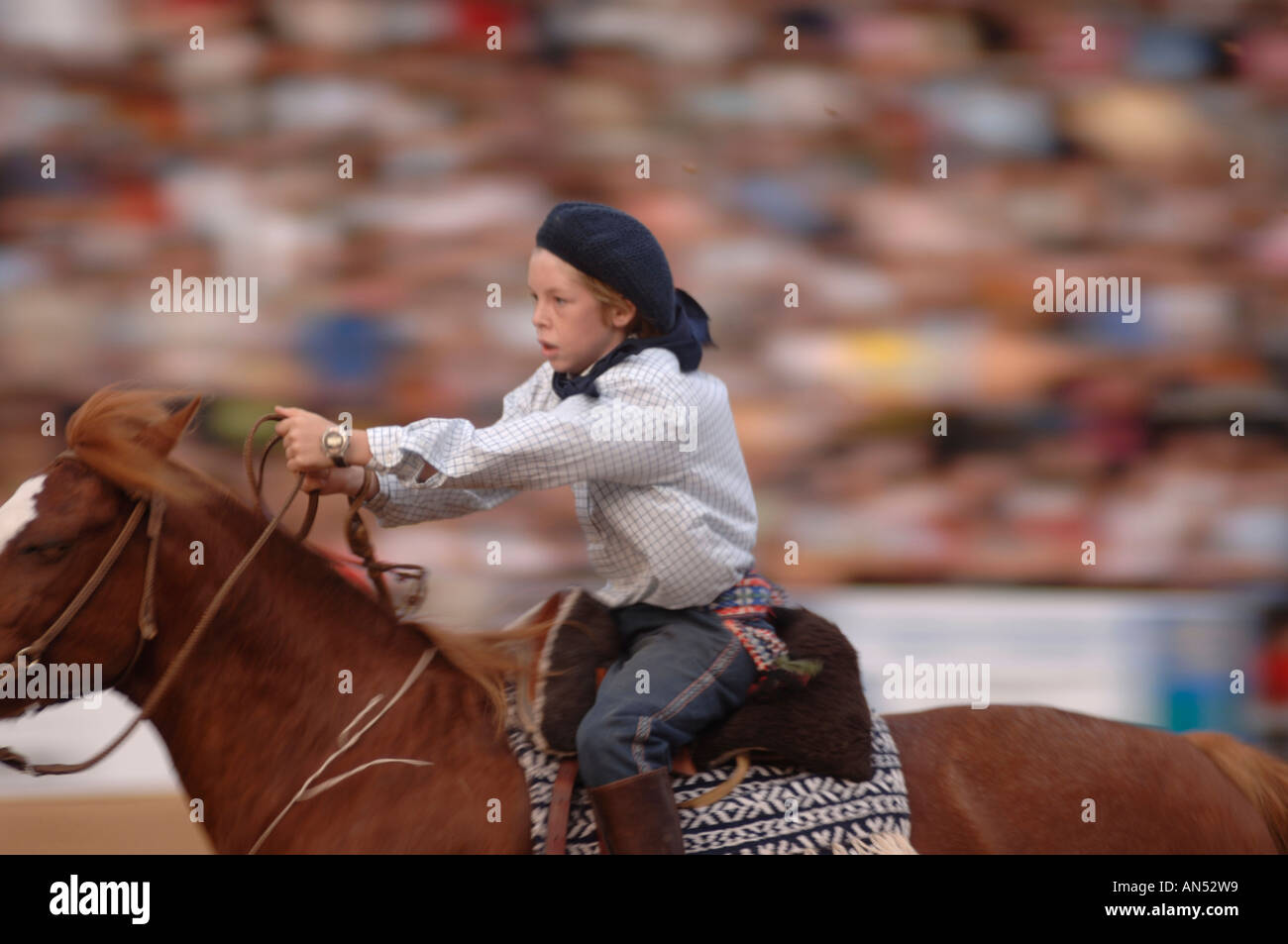 boy competing on horse Stock Photo - Alamy
