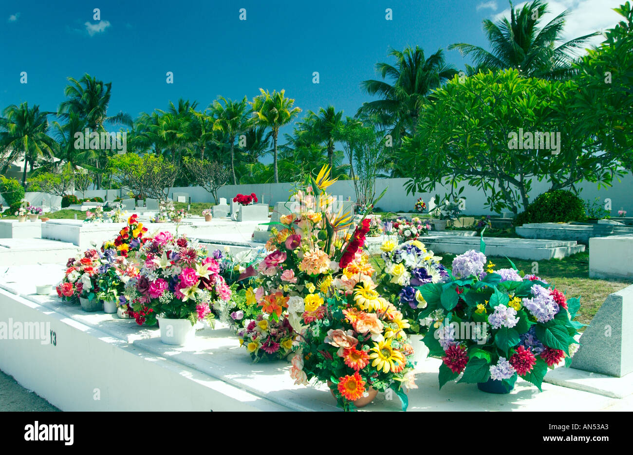 Cayman islands flowers hi-res stock photography and images - Alamy