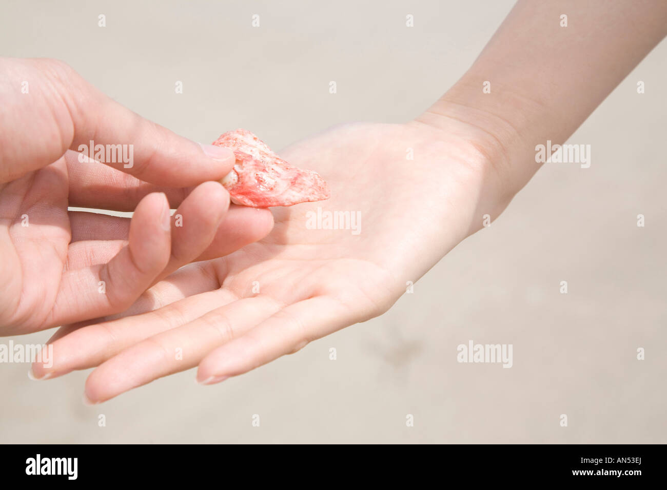 Hand handing a shell to lover Stock Photo - Alamy