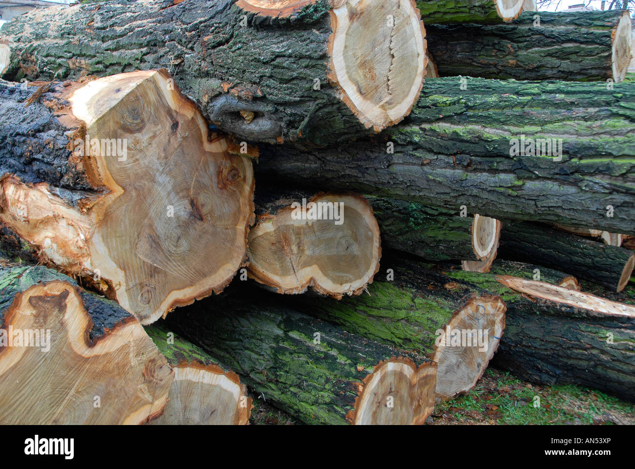 Close up stack heap hi-res stock photography and images - Alamy