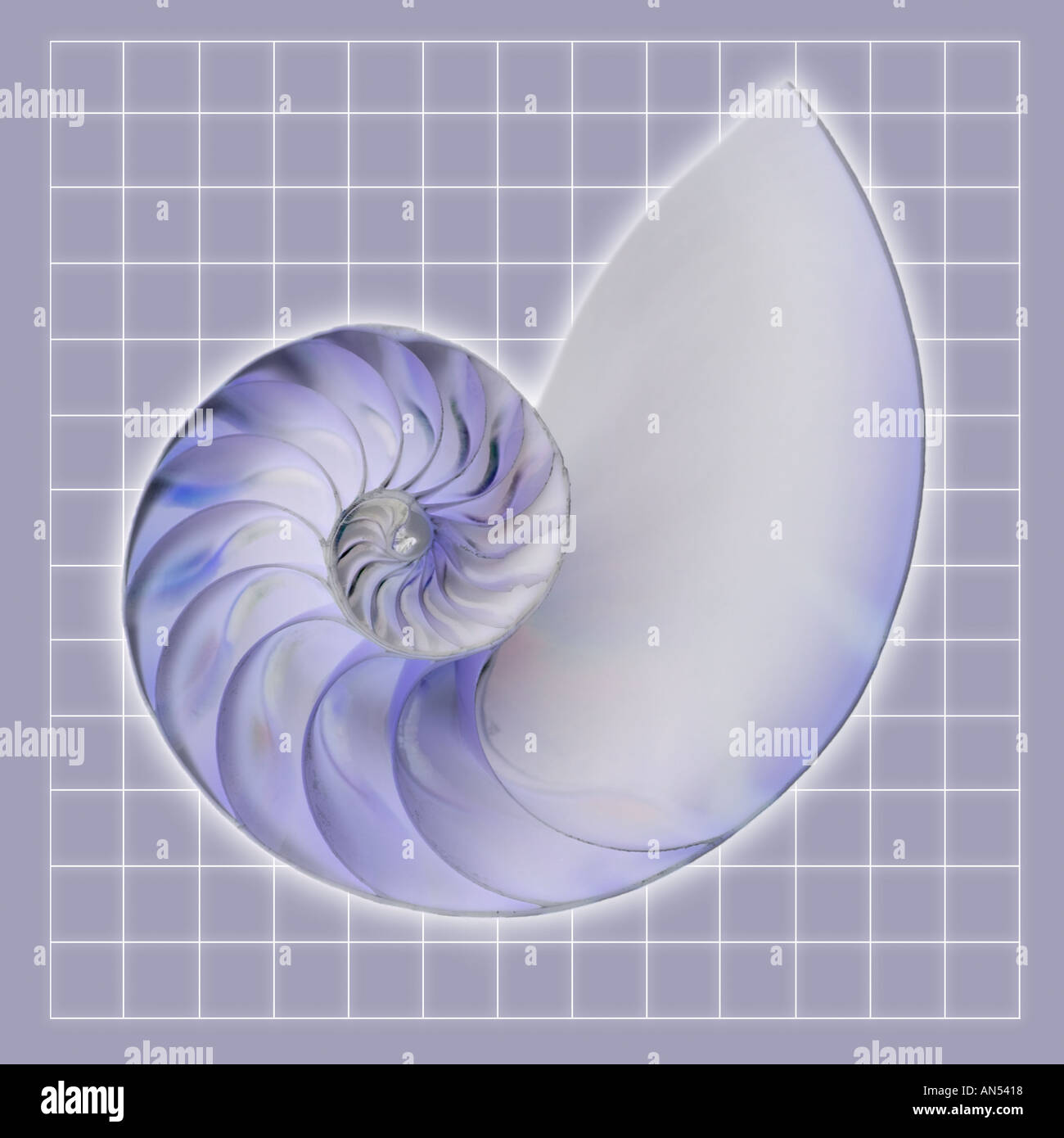 Grid shell hi-res stock photography and images - Alamy