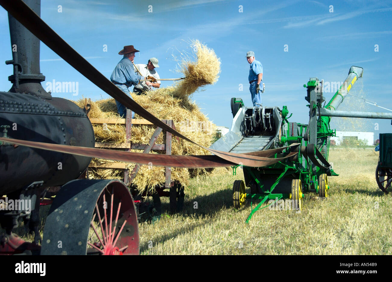 Old fashioned grain threshing with steam engines and horses at the ...