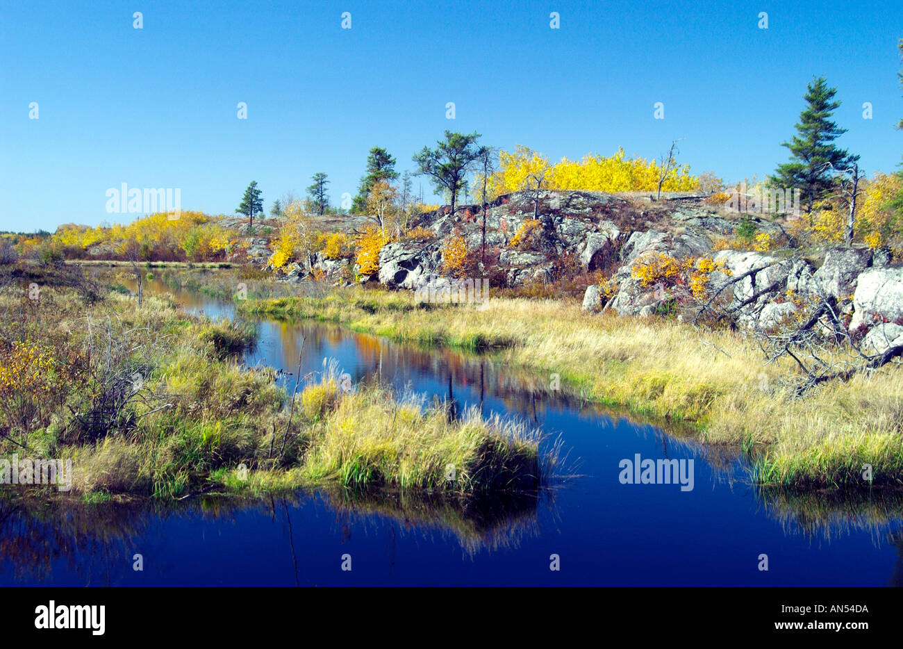 Fall foliage color change in the Whiteshell Provincial Park in Manitoba ...