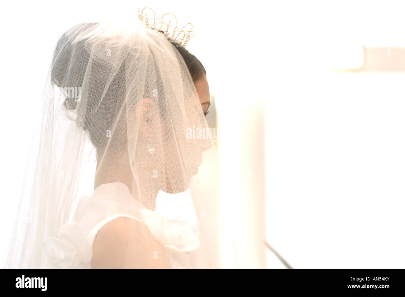 Portrait of bride Stock Photo - Alamy