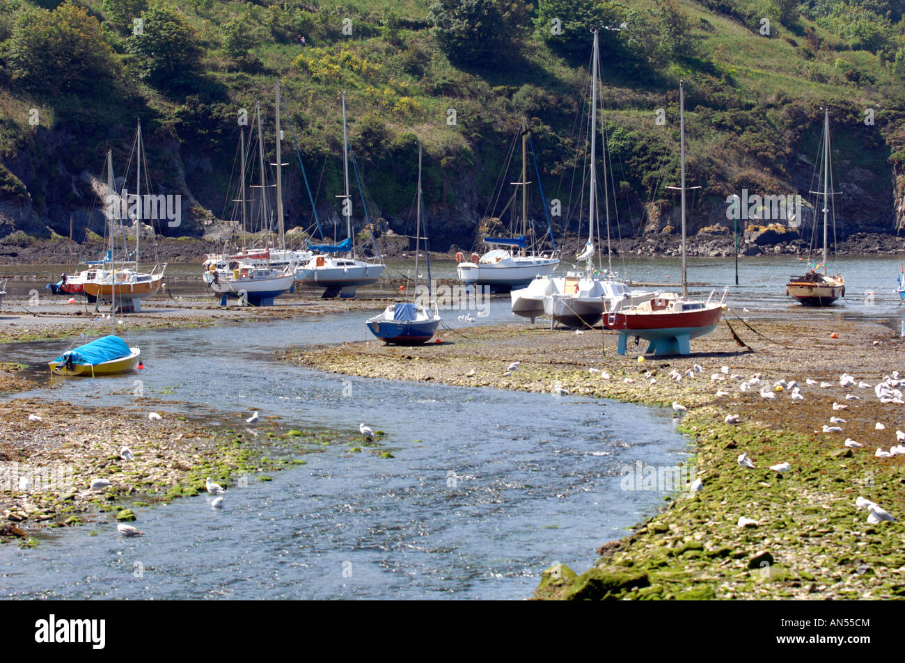 River Gwaun at Lower Fishguard Harbour, Pembrokeshire, Wales Stock ...