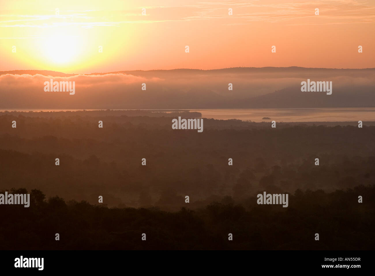 Sunrise in the bush Stock Photo - Alamy