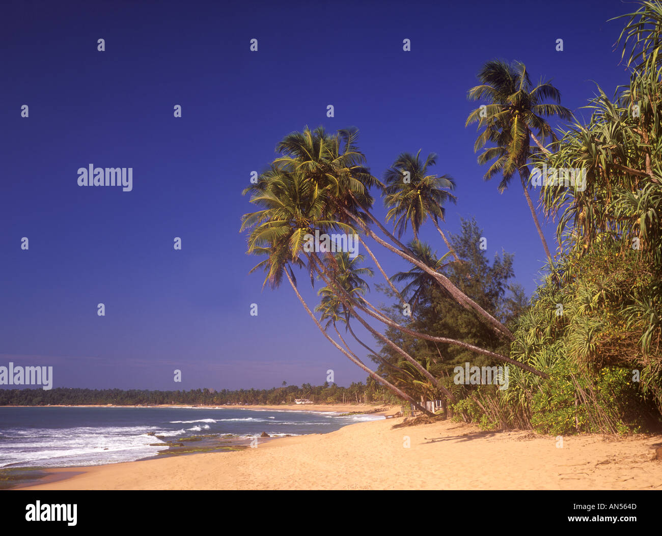 Sri Lanka Tangalla Beach Stock Photo - Alamy