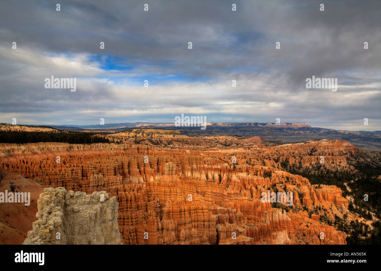 Bryce National Park in Utah Stock Photo - Alamy