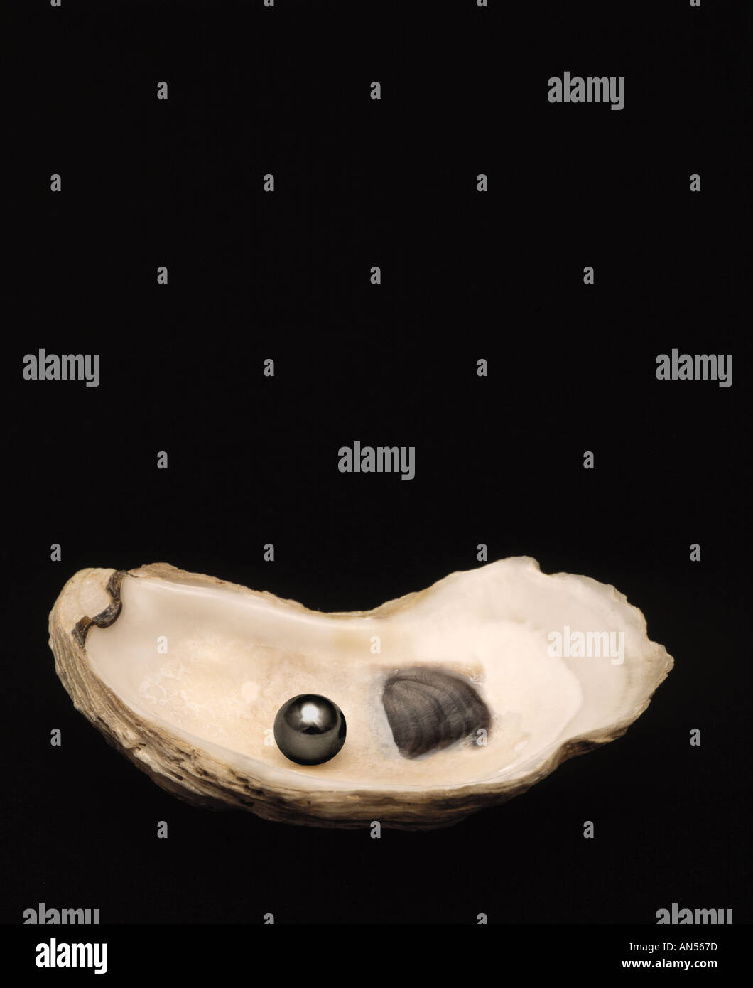 Black pearl in oyster shell Stock Photo - Alamy