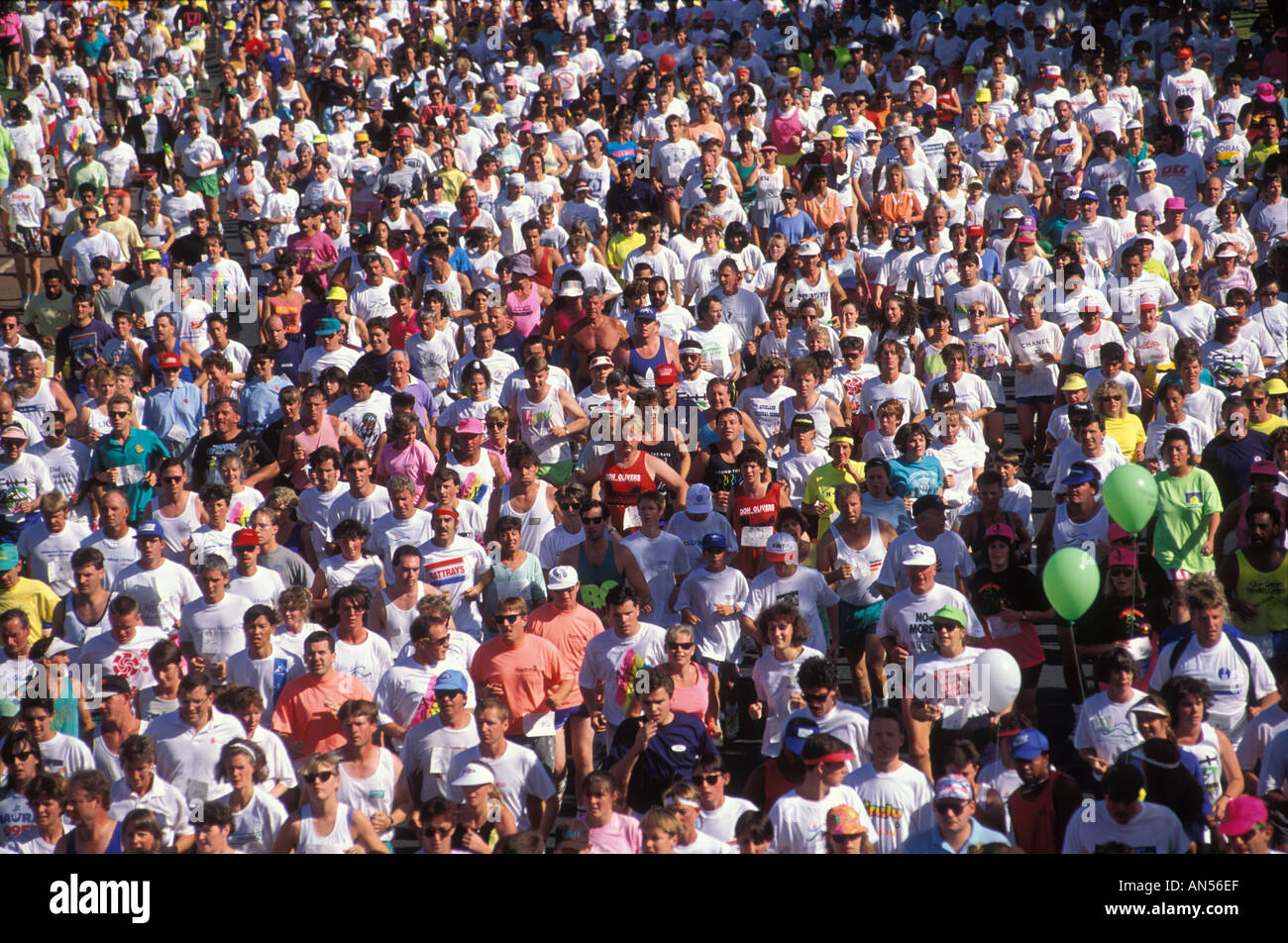 Round the Bays run Auckland New Zealand Stock Photo - Alamy