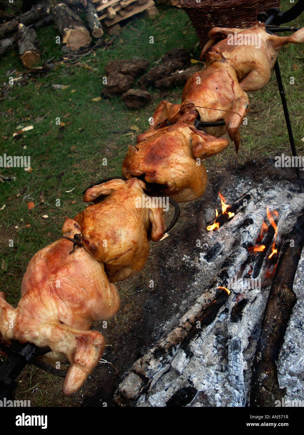 Chicken cooking fire pit hi-res stock photography and images - Alamy