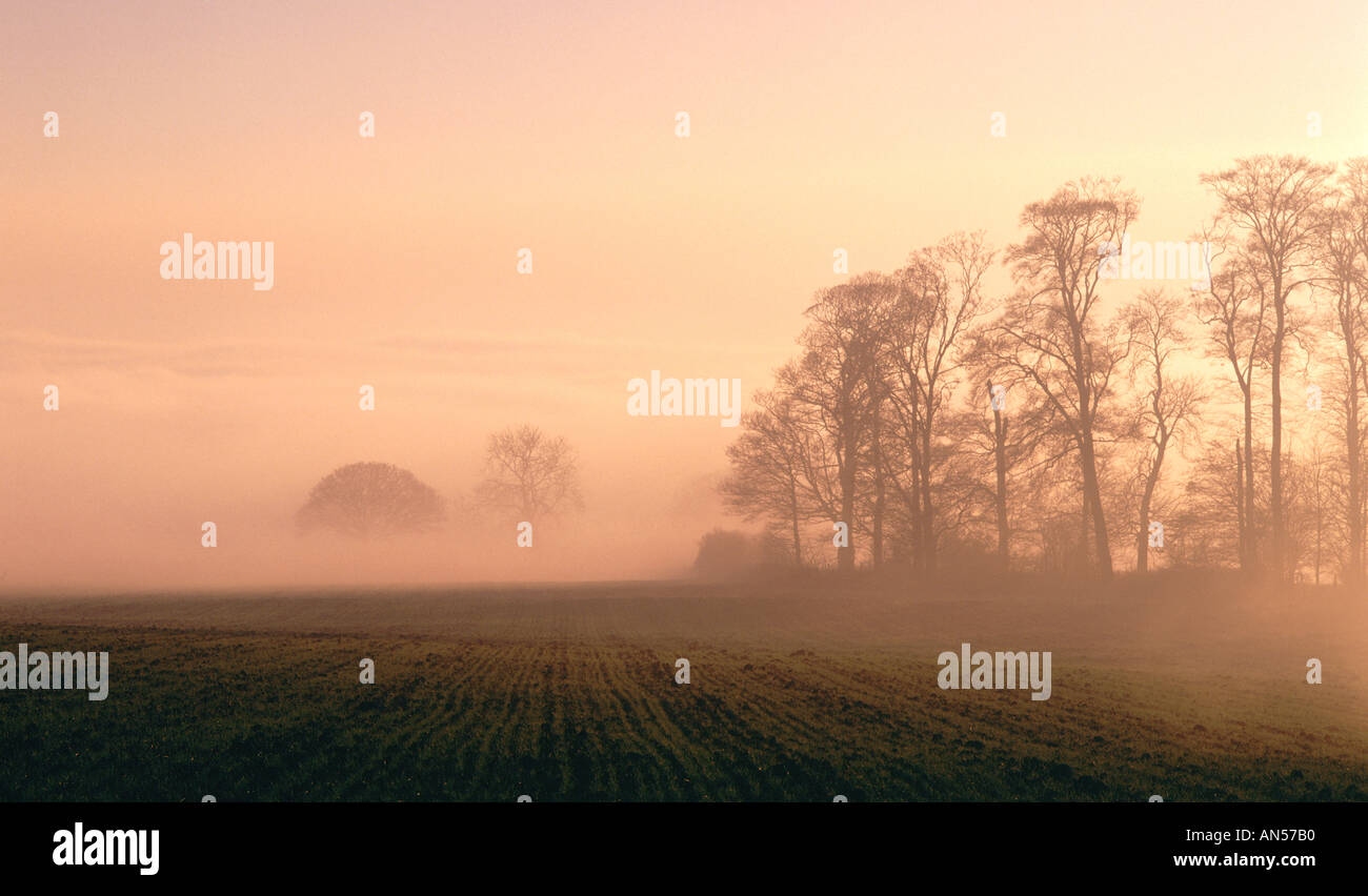 BREDON HILL AT DAWN WORCESTERSHIRE ENGLAND UK Stock Photo - Alamy