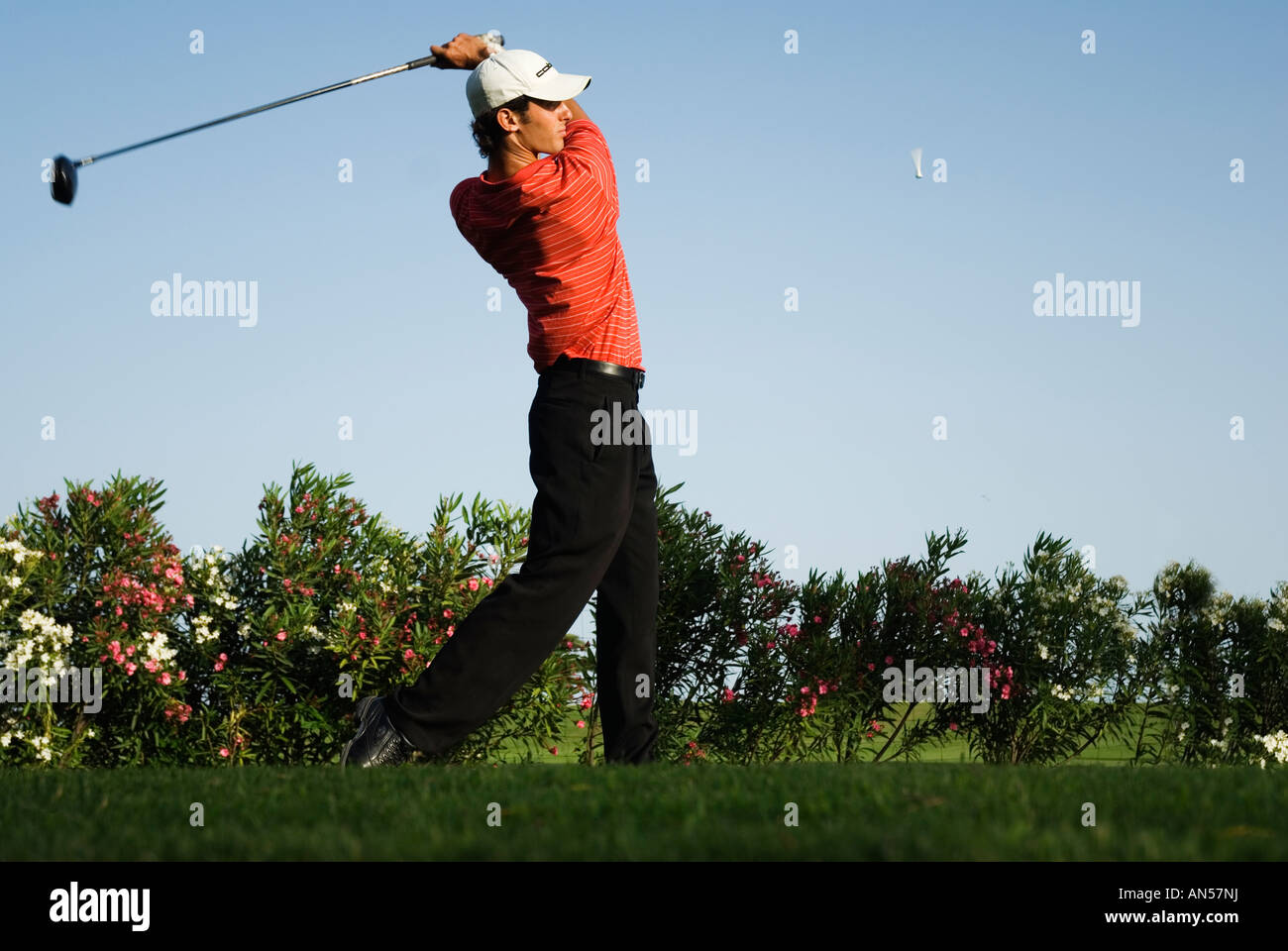 professional golfer using the driver Stock Photo - Alamy