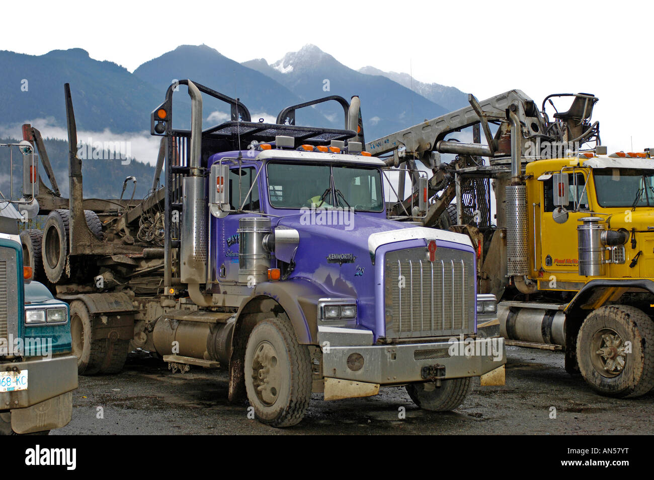 Canadian Forest Industry Industrial Heavy Haulage Timber Logging Lorry ...