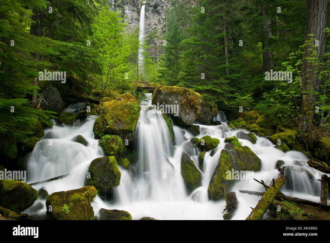 Watson Falls Oregon Stock Photo - Alamy