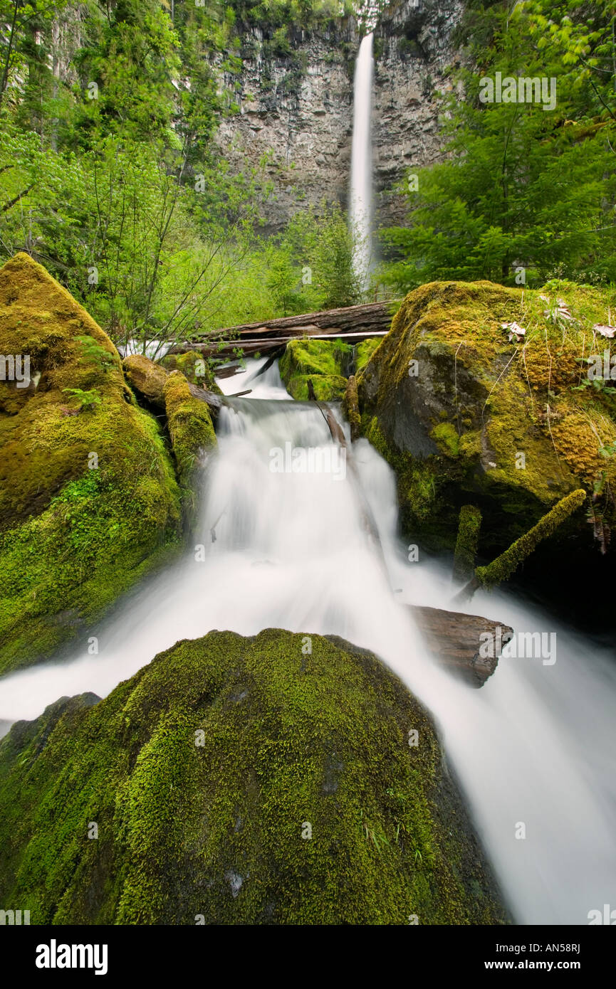 Tomas watson hi-res stock photography and images - Alamy