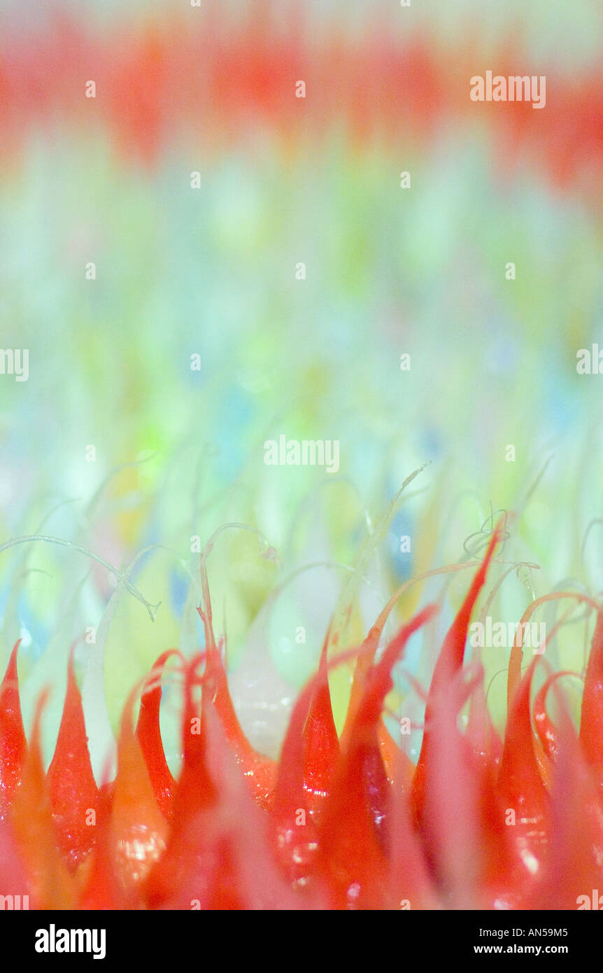 futuristic plastic carpet with spikes defocused Stock Photo - Alamy