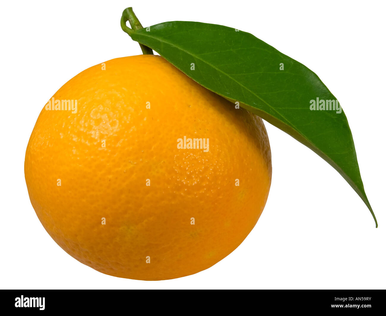 Orange leaf background Cut Out Stock Images & Pictures - Alamy