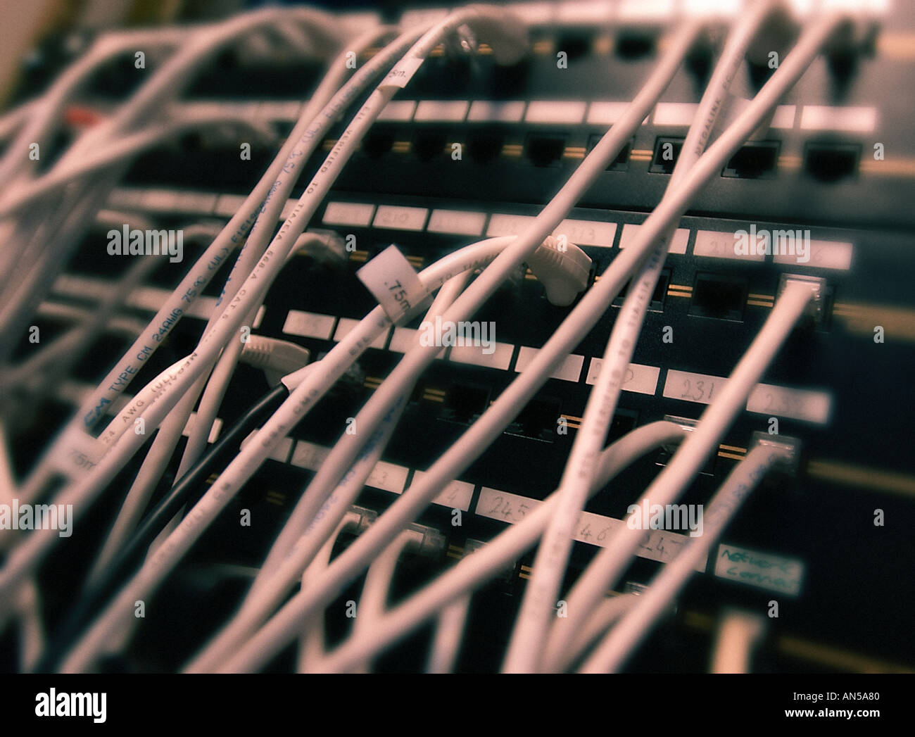 CABLE CONNECTIONS ON LARGE COMPUTER NETWORK Stock Photo - Alamy