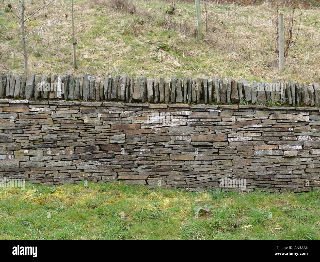 Hengoed hi-res stock photography and images - Alamy