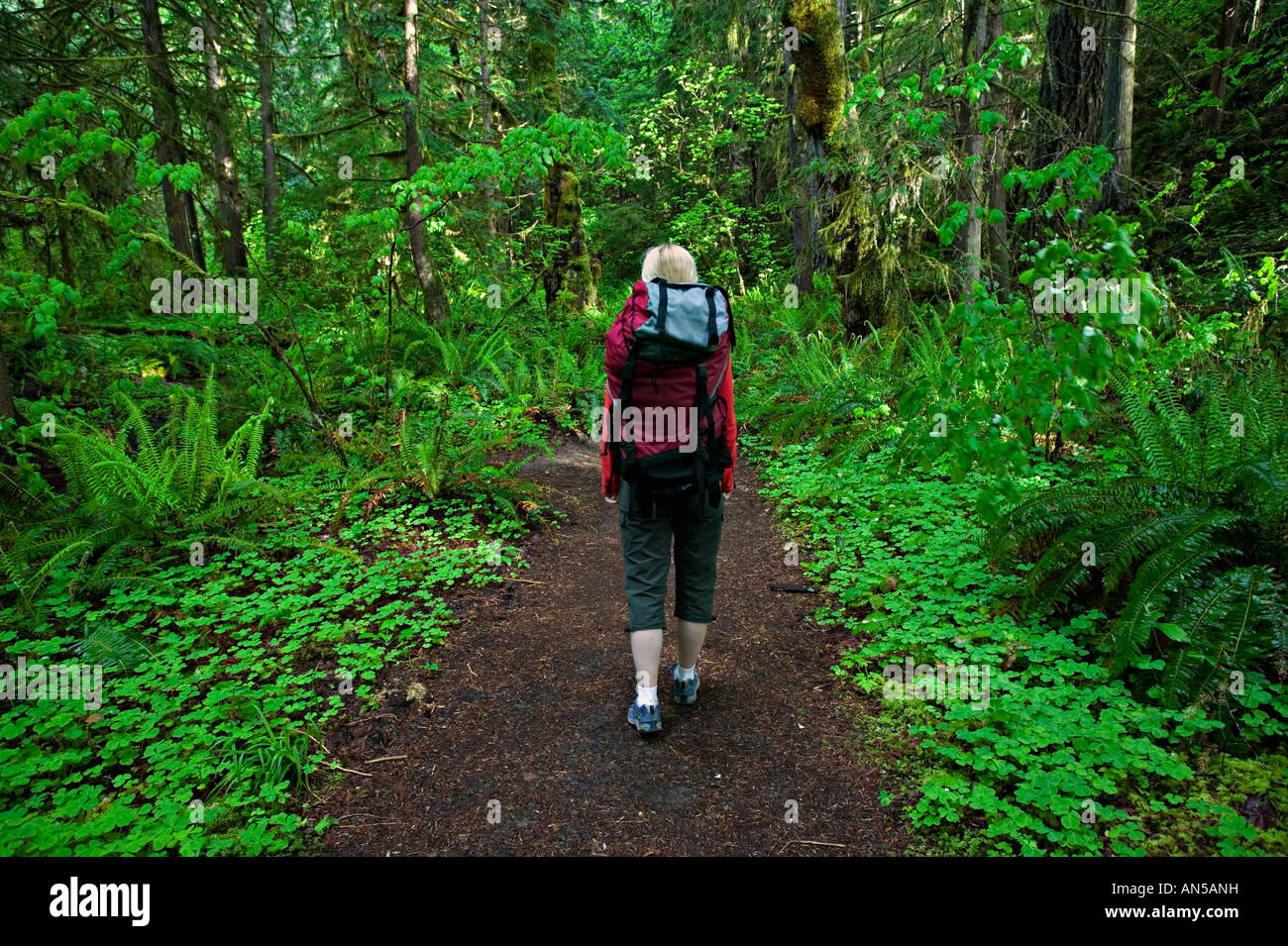 Woman on Forest pathway Stock Photo - Alamy