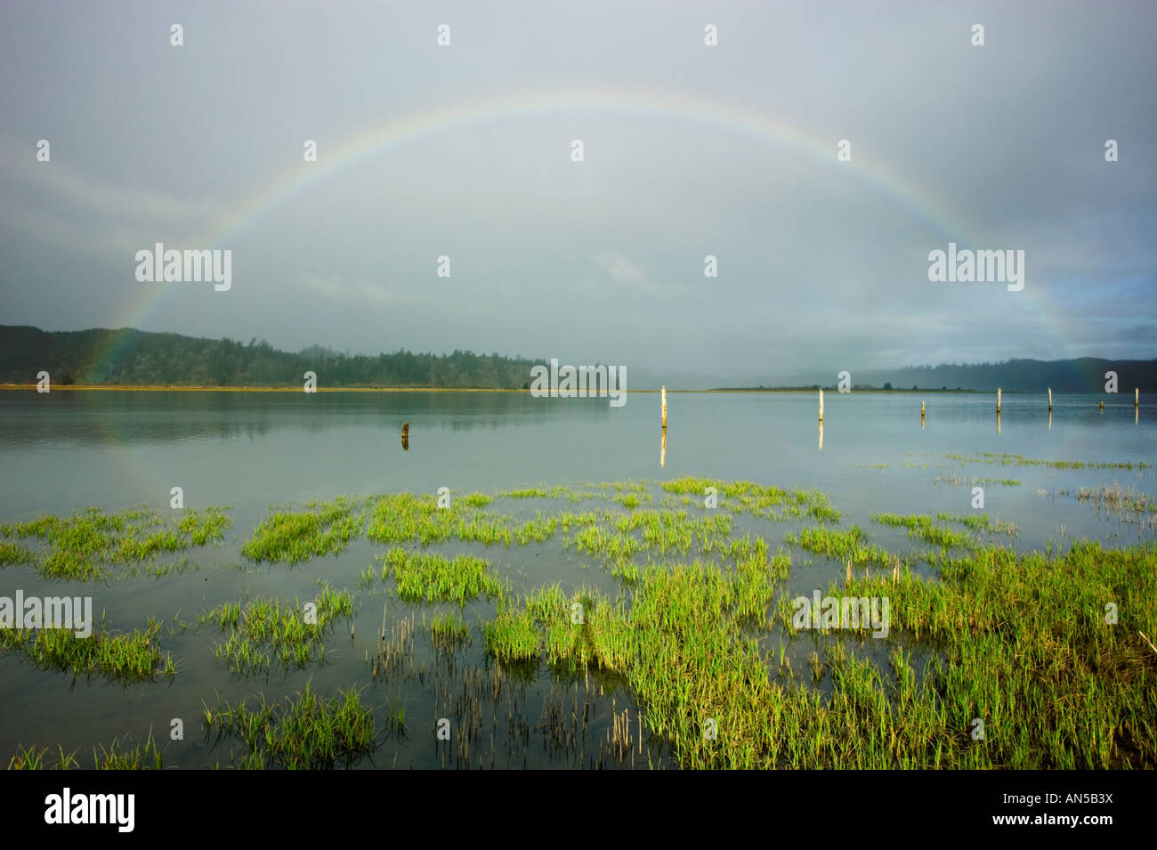 Rainbow on Oregon coast Stock Photo - Alamy
