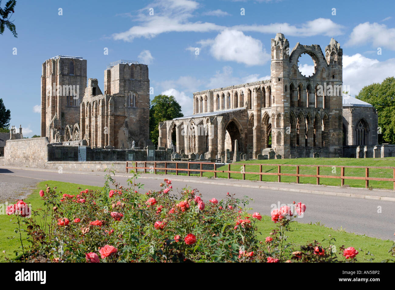 Magnificent result hi-res stock photography and images - Alamy