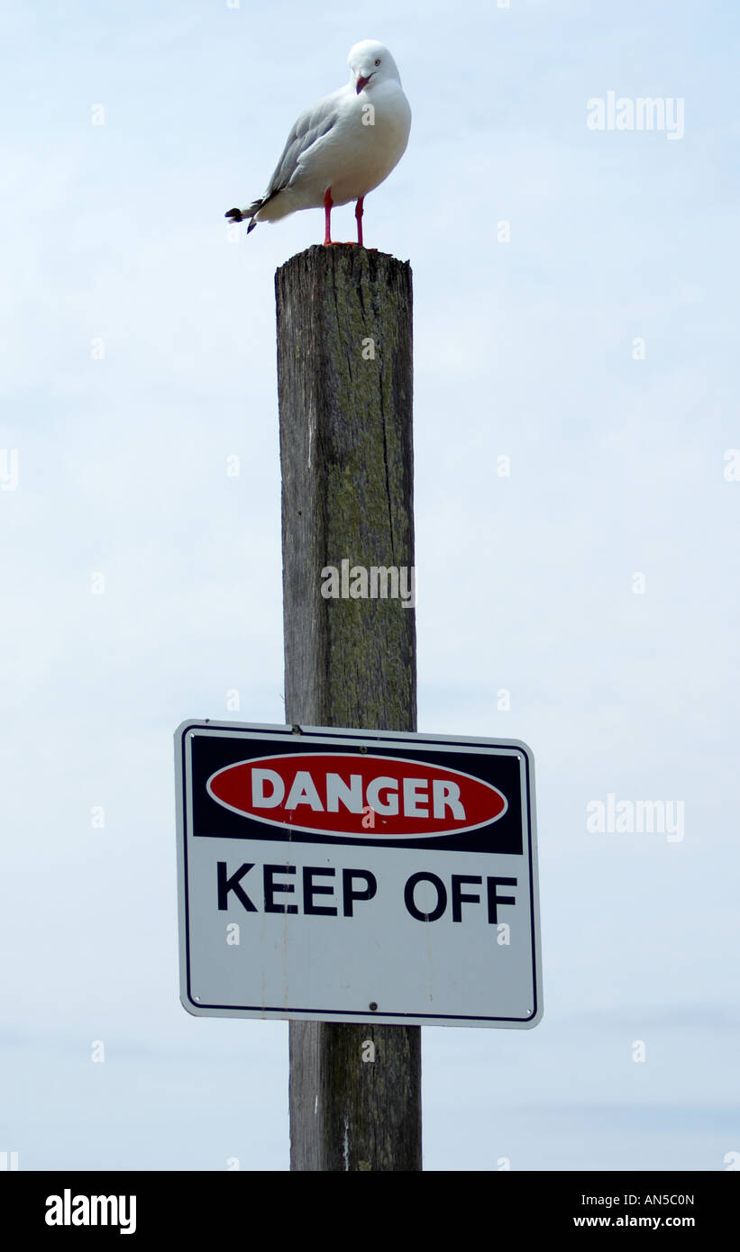 Danger sign ignore hi-res stock photography and images - Alamy
