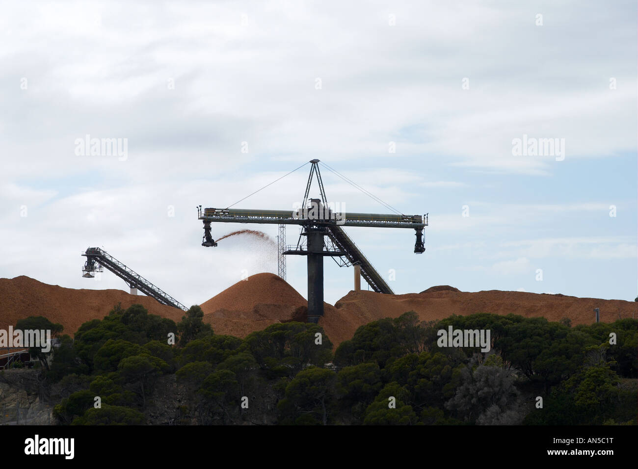 A pulp mill chipping timber Stock Photo - Alamy