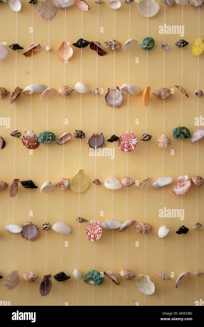 Shells on strings Stock Photo - Alamy