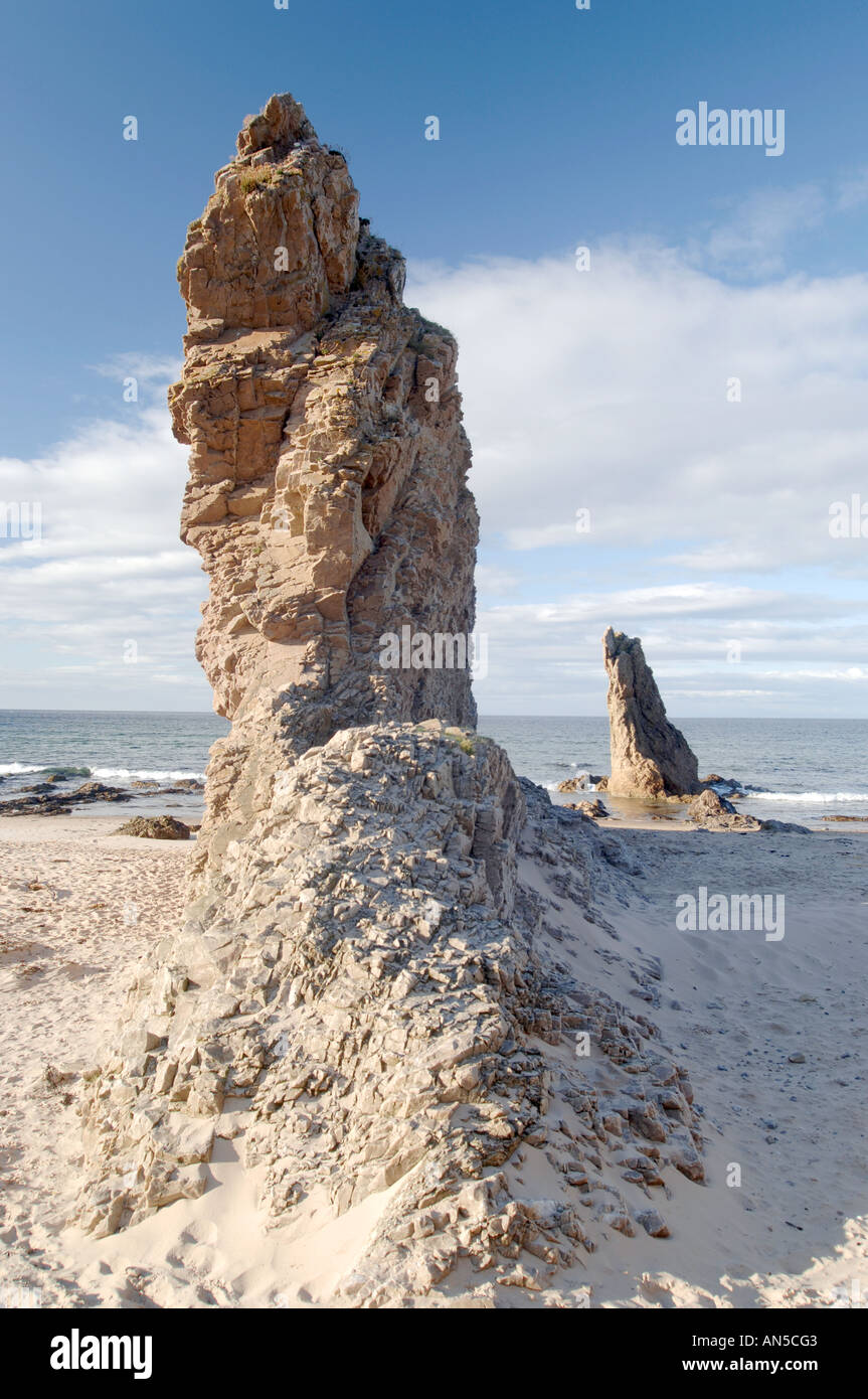 The Three Kings, rock stacks on Cullen beach, Moray. Grampain Region ...