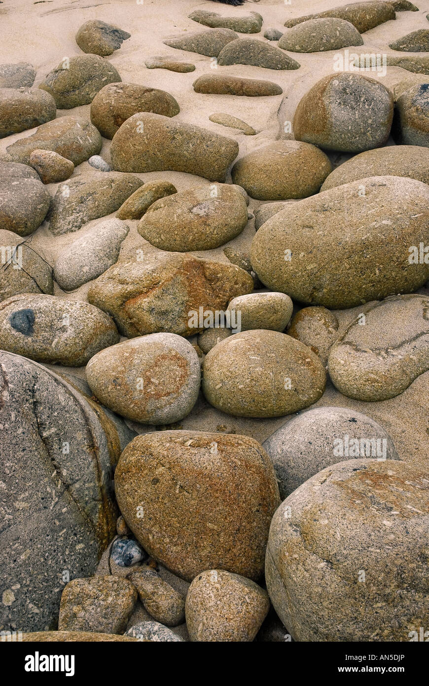 Very large Pebbles on a beach Stock Photo - Alamy