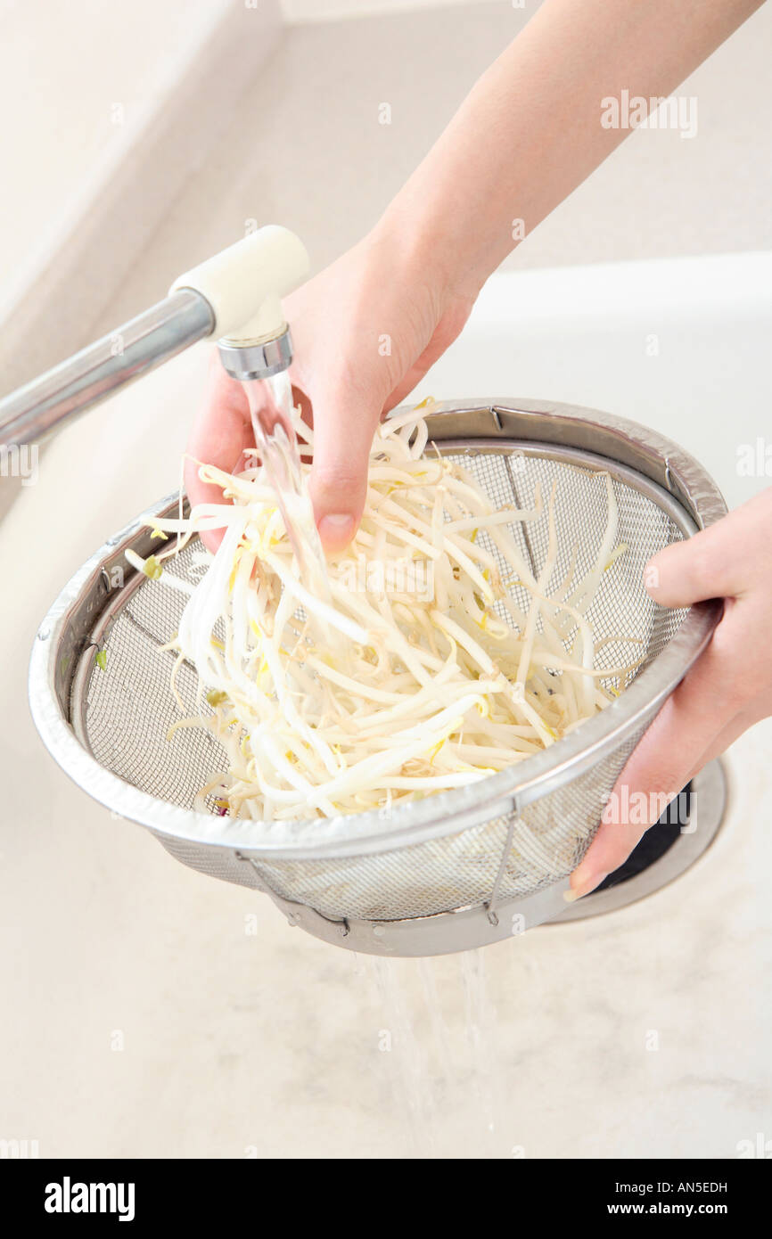 Woman washing bean sprouts Stock Photo - Alamy