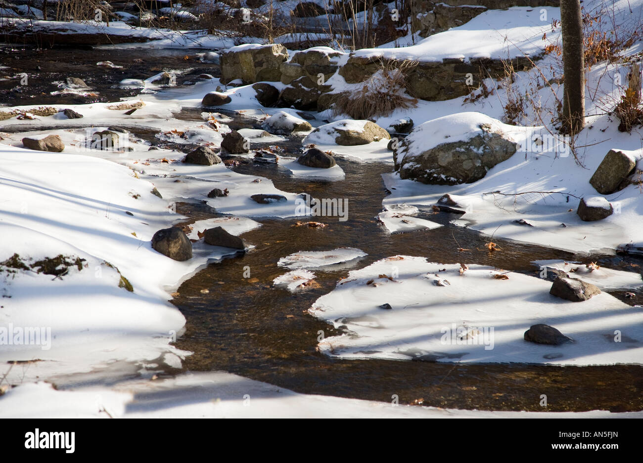 Running stream on a winter day Stock Photo - Alamy