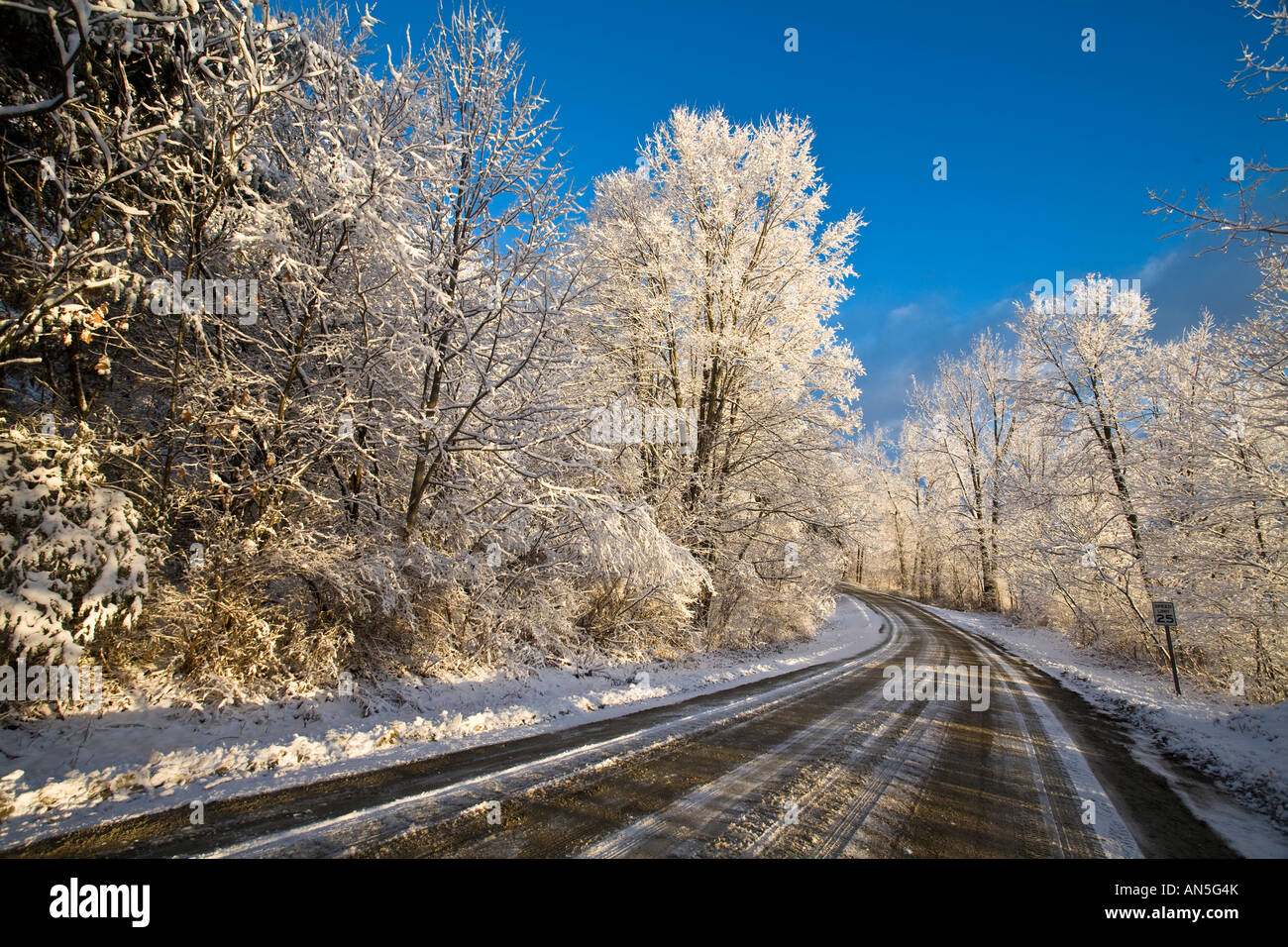 An early snow frosts the trees in Williston VT Stock Photo - Alamy