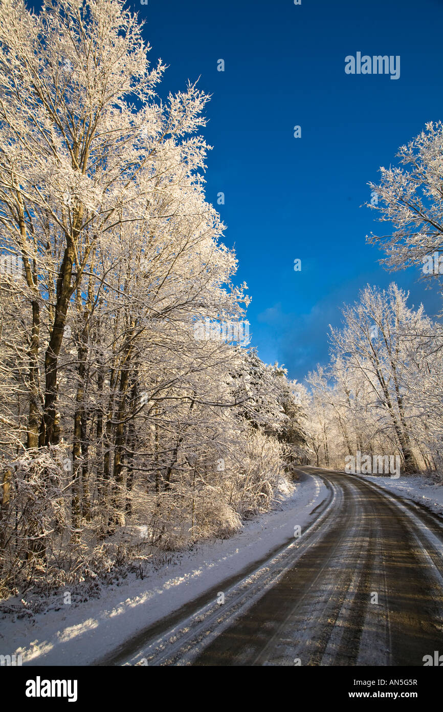 An early snow frosts the trees in Williston VT Stock Photo - Alamy
