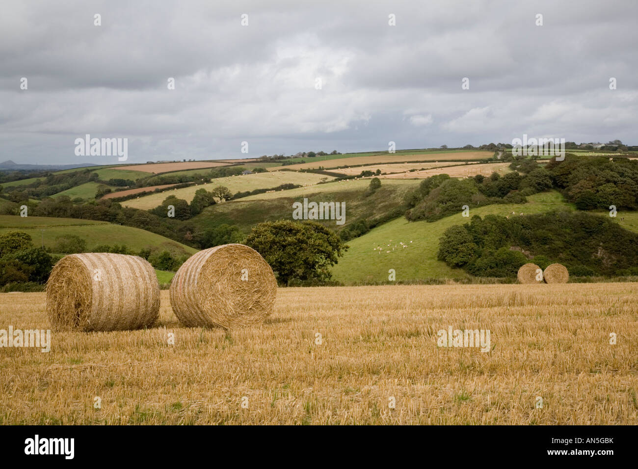 Straw bales on the Roseland Peninsula near Veryan Cornwall Stock Photo ...