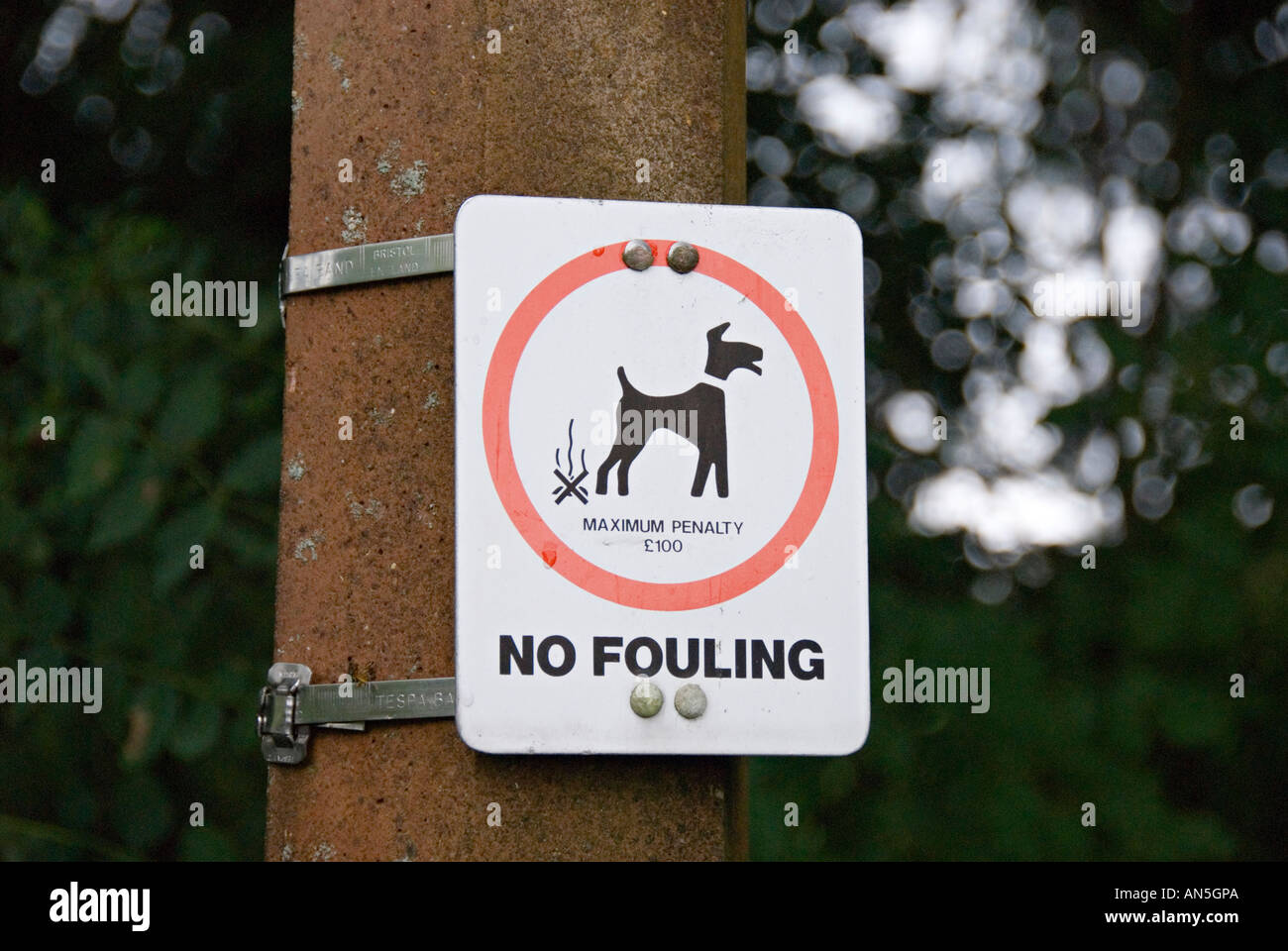 No fouling warning sign for people walking their dogs Stock Photo - Alamy