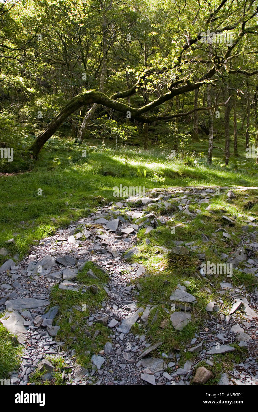 Scenic quarry pathway hi-res stock photography and images - Alamy