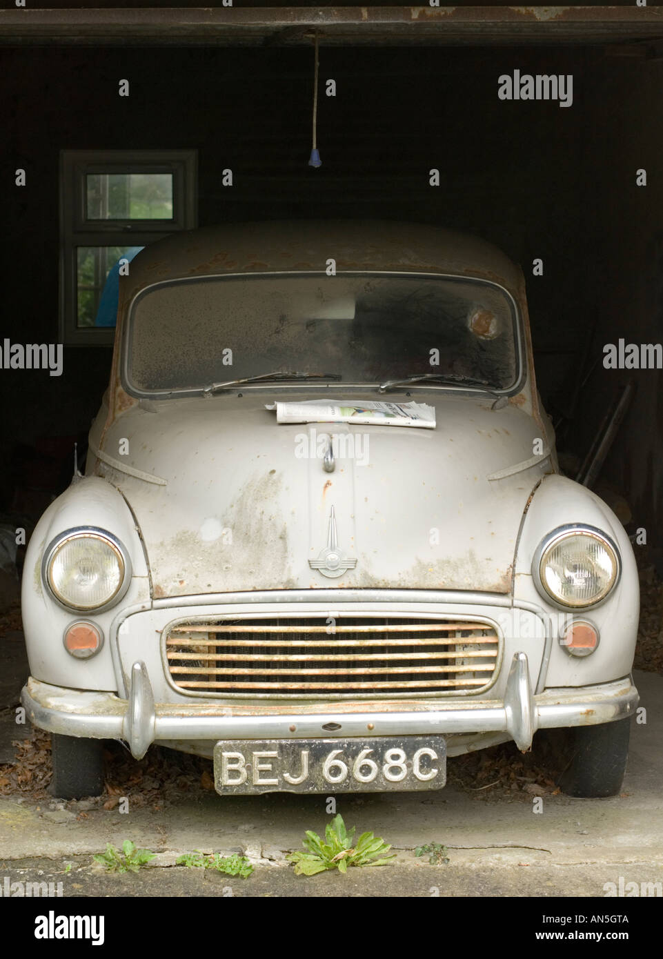old grey morris minor 1000 car in garage covered in dust, alltyblaca ...