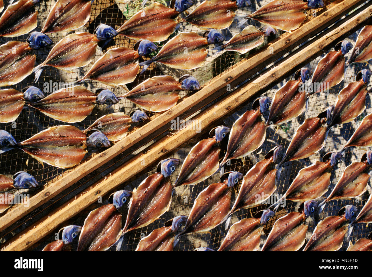 Traditional fish open air fish drying hi-res stock photography and ...
