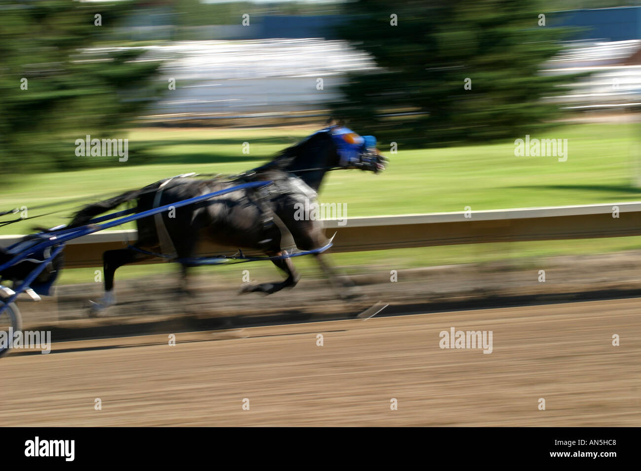 Standardbred harness racing hi-res stock photography and images - Alamy