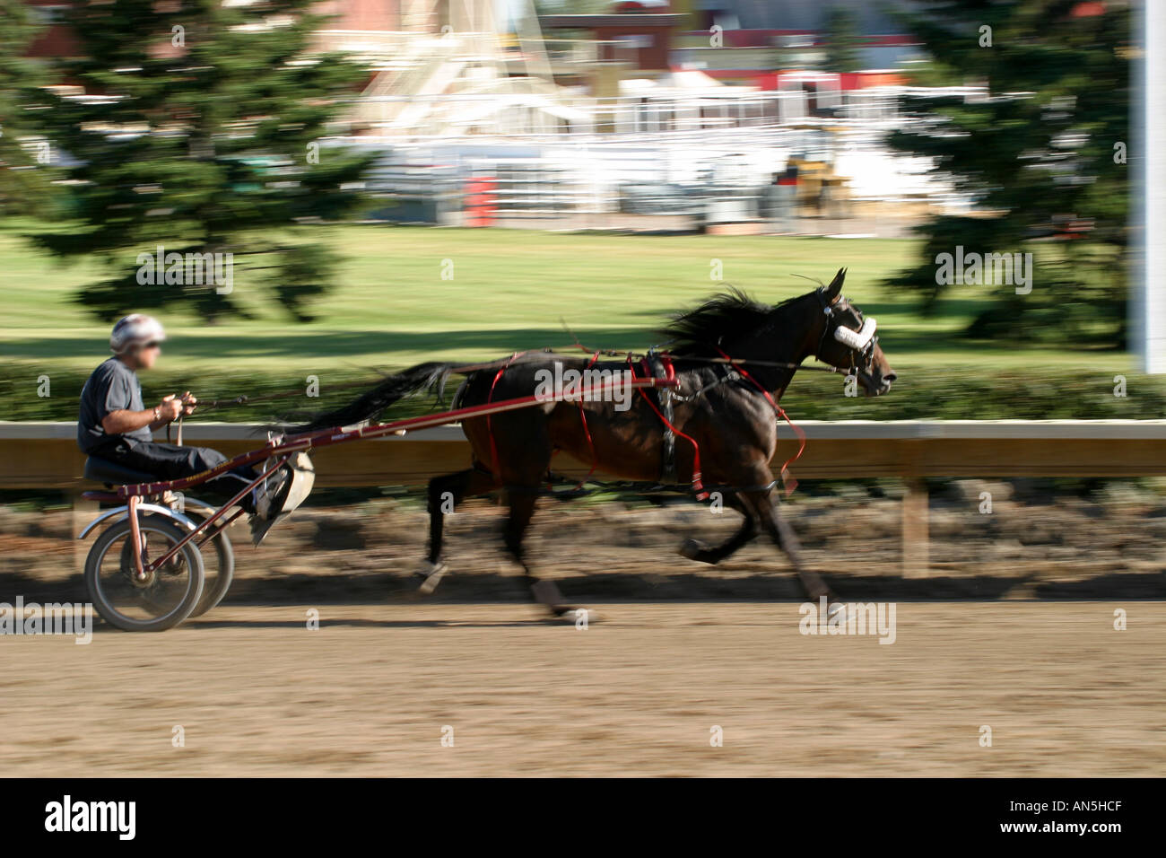 Standardbred harness racing hi-res stock photography and images - Alamy
