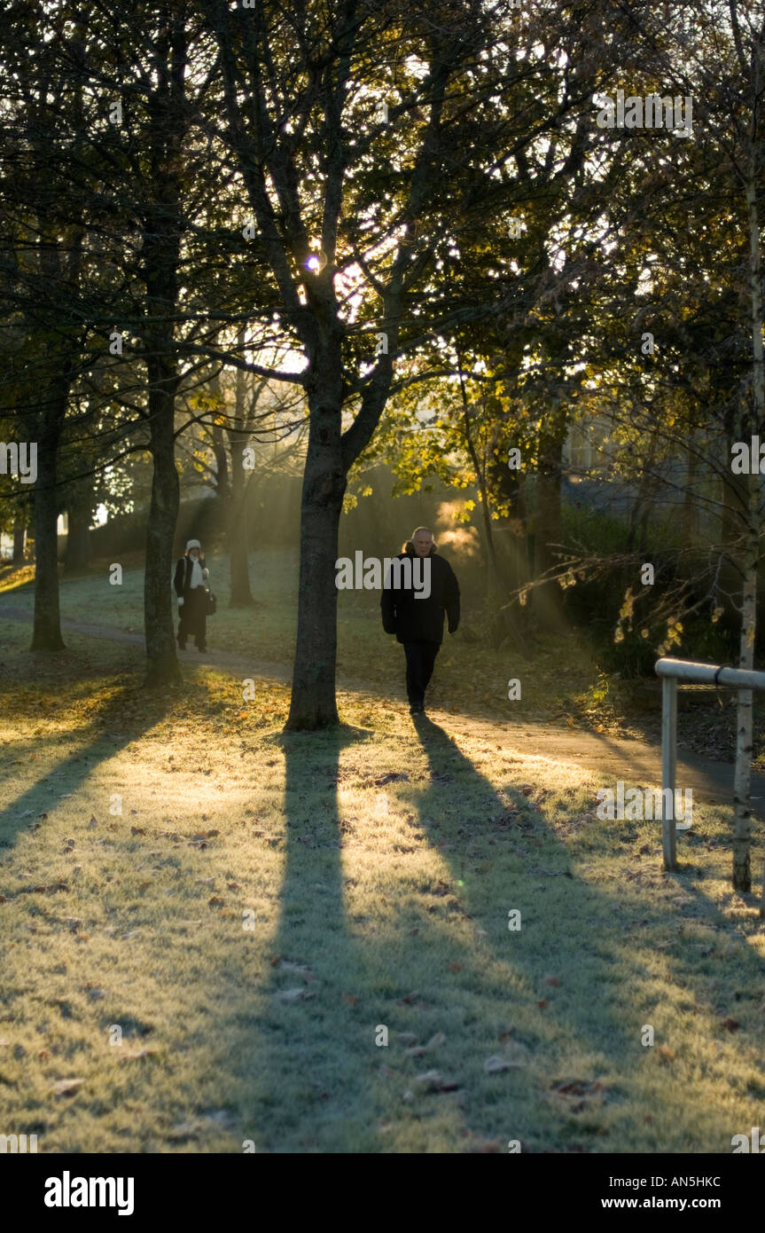 Man walking amongst trees, very cold winter morning, breath condensing ...