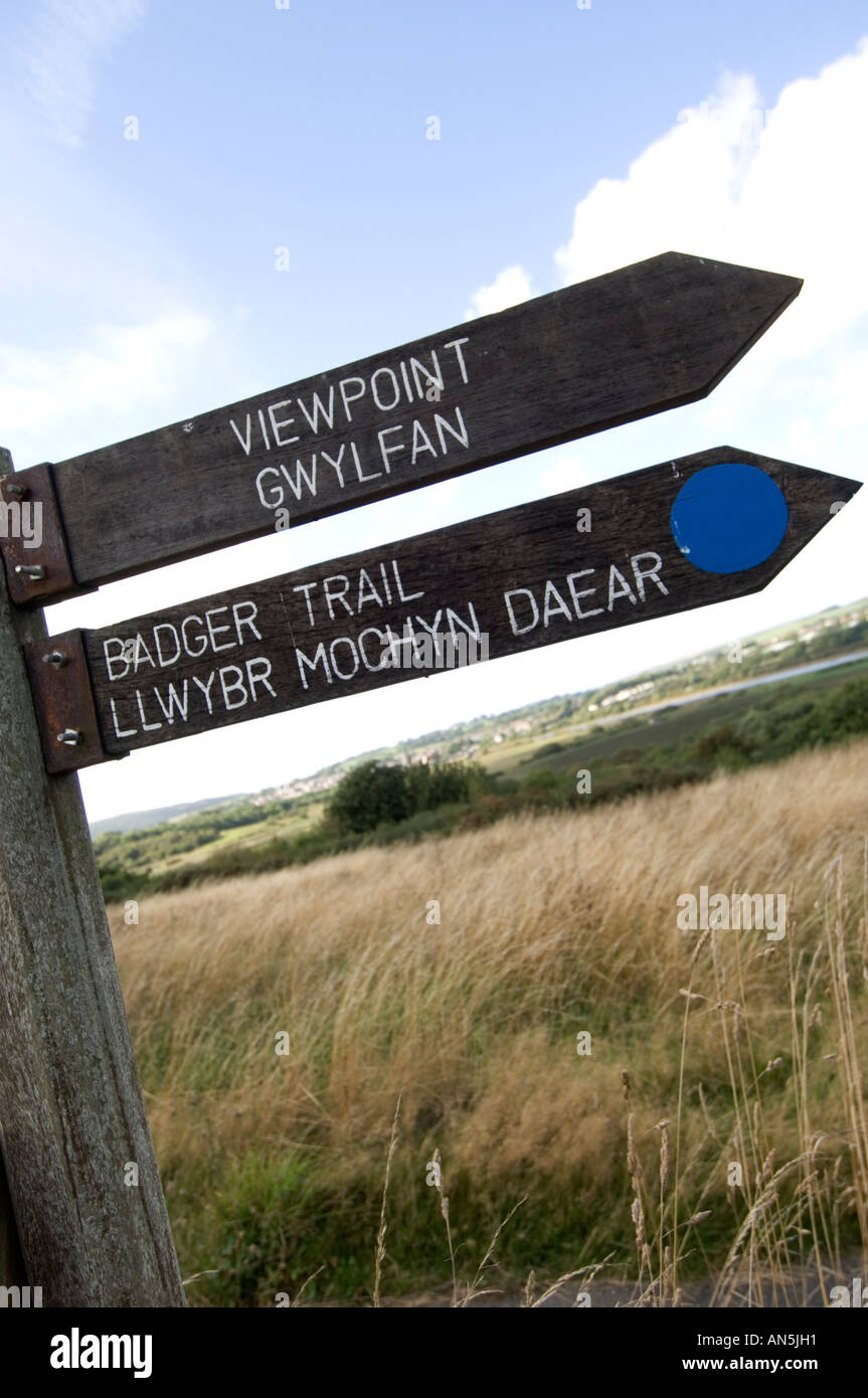 Welsh wildlife centre, cilgerran hi-res stock photography and images ...